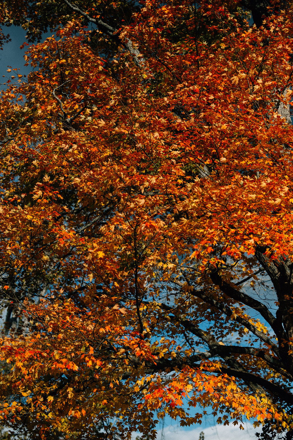 20 beautiful literary quotes about autumn - This Time Tomorrow