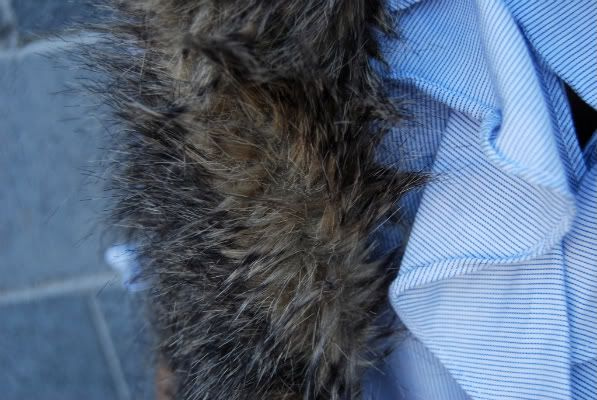 ruffle/fur - This Time Tomorrow