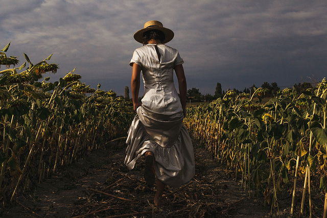heading to provence: what to know before you go - This Time Tomorrow