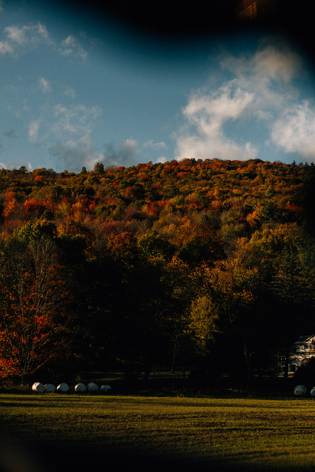 20 beautiful literary quotes about autumn - This Time Tomorrow