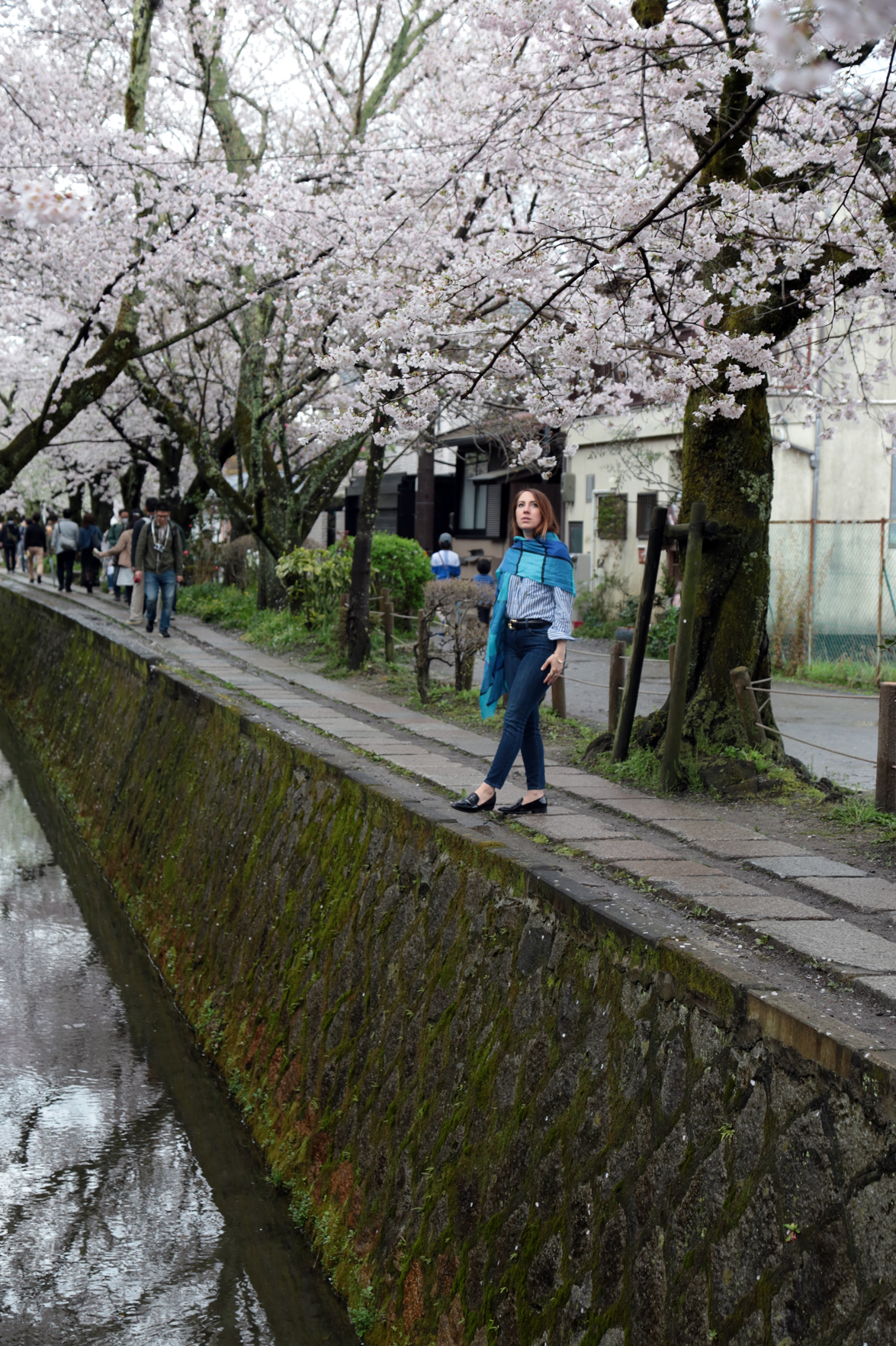 first time guide to kyoto - This Time Tomorrow
