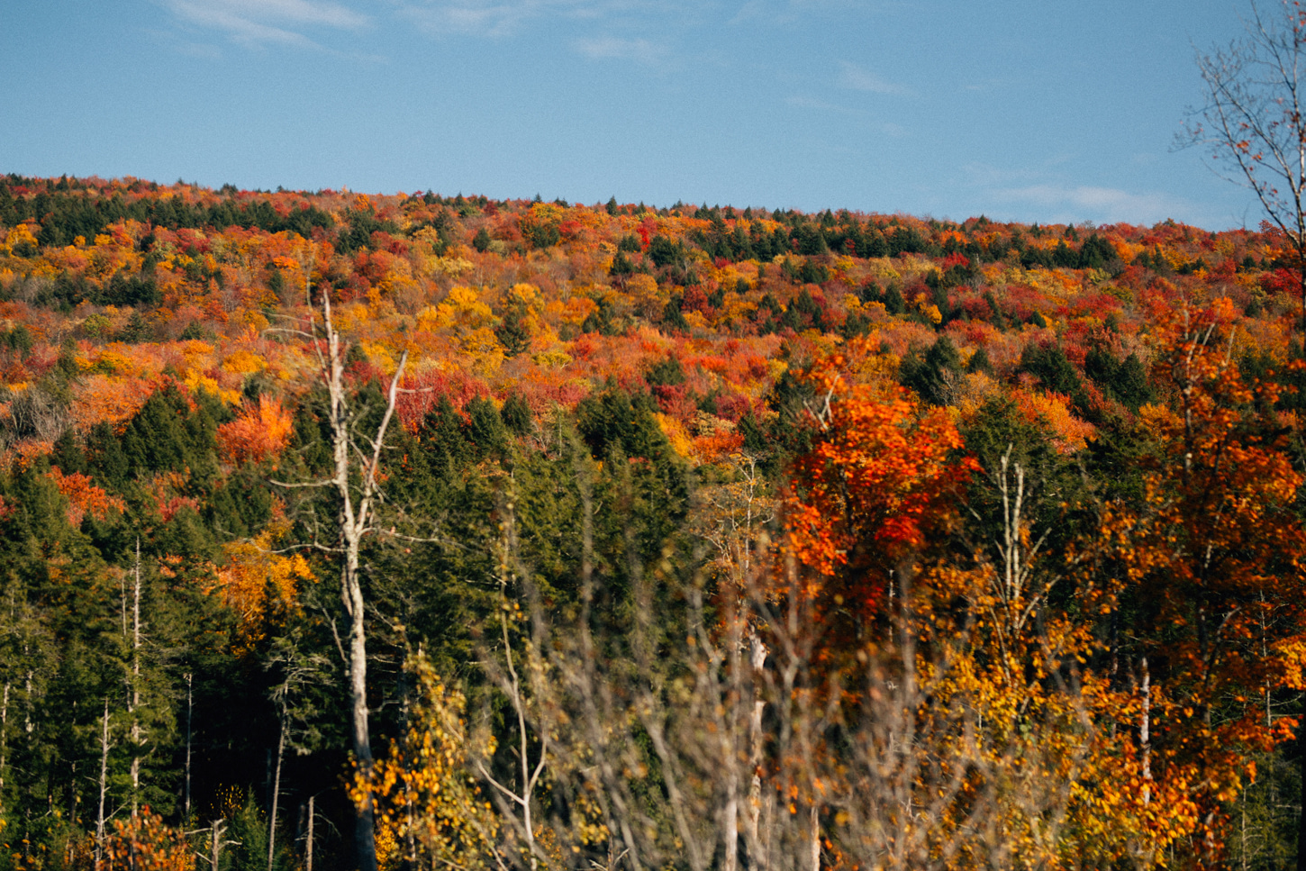 upstate new york and new england airbnb wishlist - This Time Tomorrow